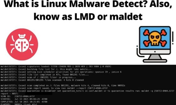 GridPane CLI Cheatsheet - Managing WP