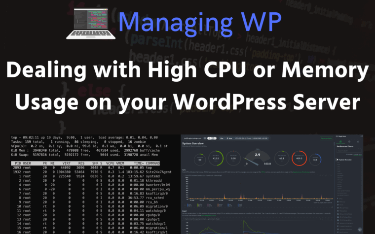 Dealing With High Cpu Or Memory Usage On Your Wordpress Site Or Server Managing Wp