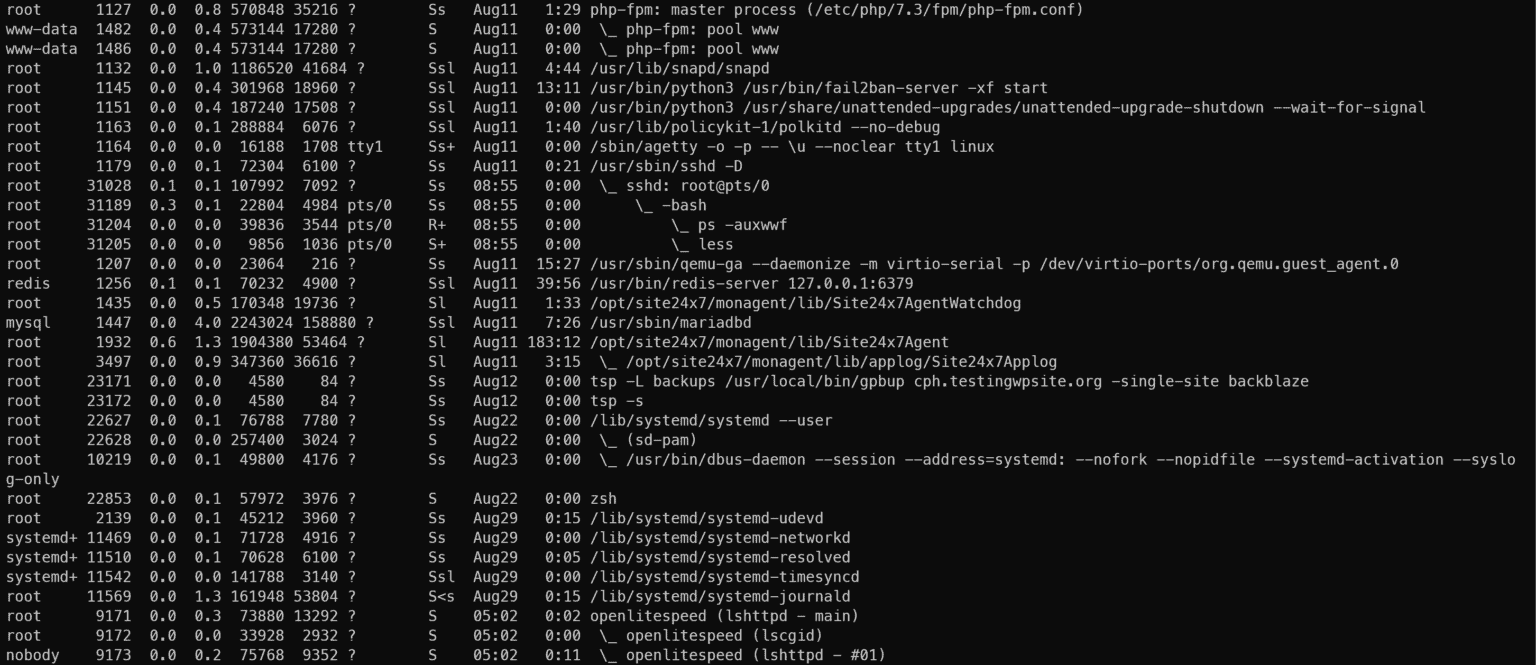 Dealing With High Cpu Or Memory Usage On Your Wordpress Site Or Server Managing Wp