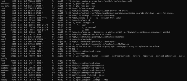 Dealing with High CPU or Memory Usage on your WordPress Site or Server - Managing WP