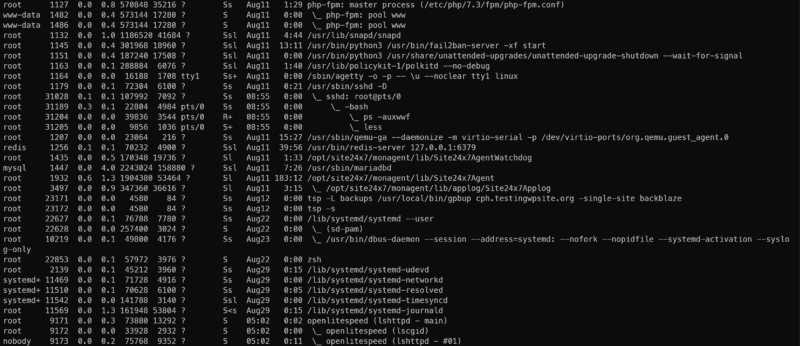 Dealing with High CPU or Memory Usage on your WordPress Site or Server - Managing WP