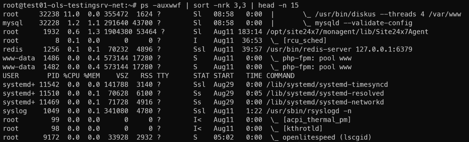 Dealing with High CPU or Memory Usage on your WordPress Site or Server - Managing WP